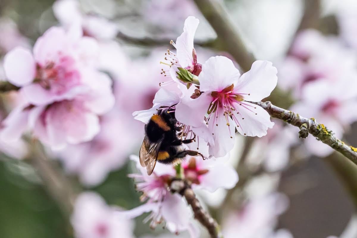 Visiting Stowe's garden | Buckinghamshire | National Trust