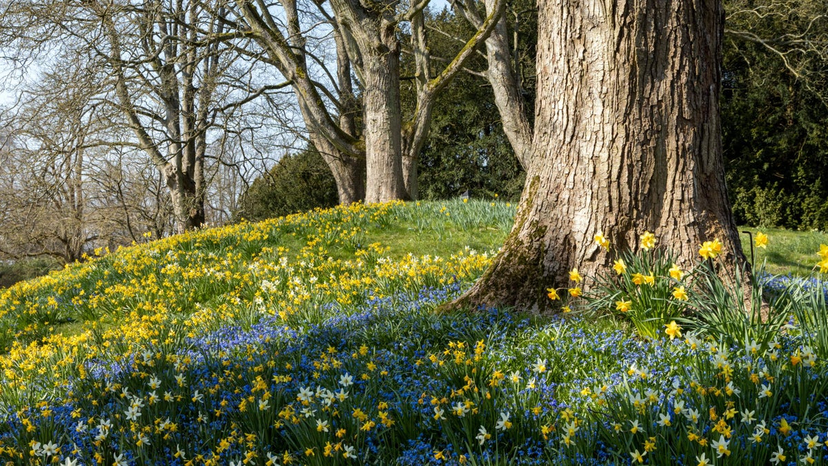 Protecting our environment and climate | National Trust