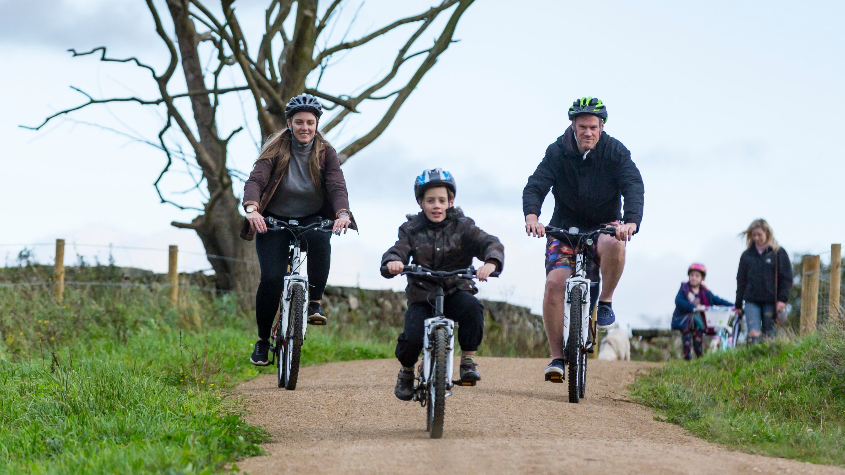 Things to do at Calke Explore | Derbyshire | National Trust