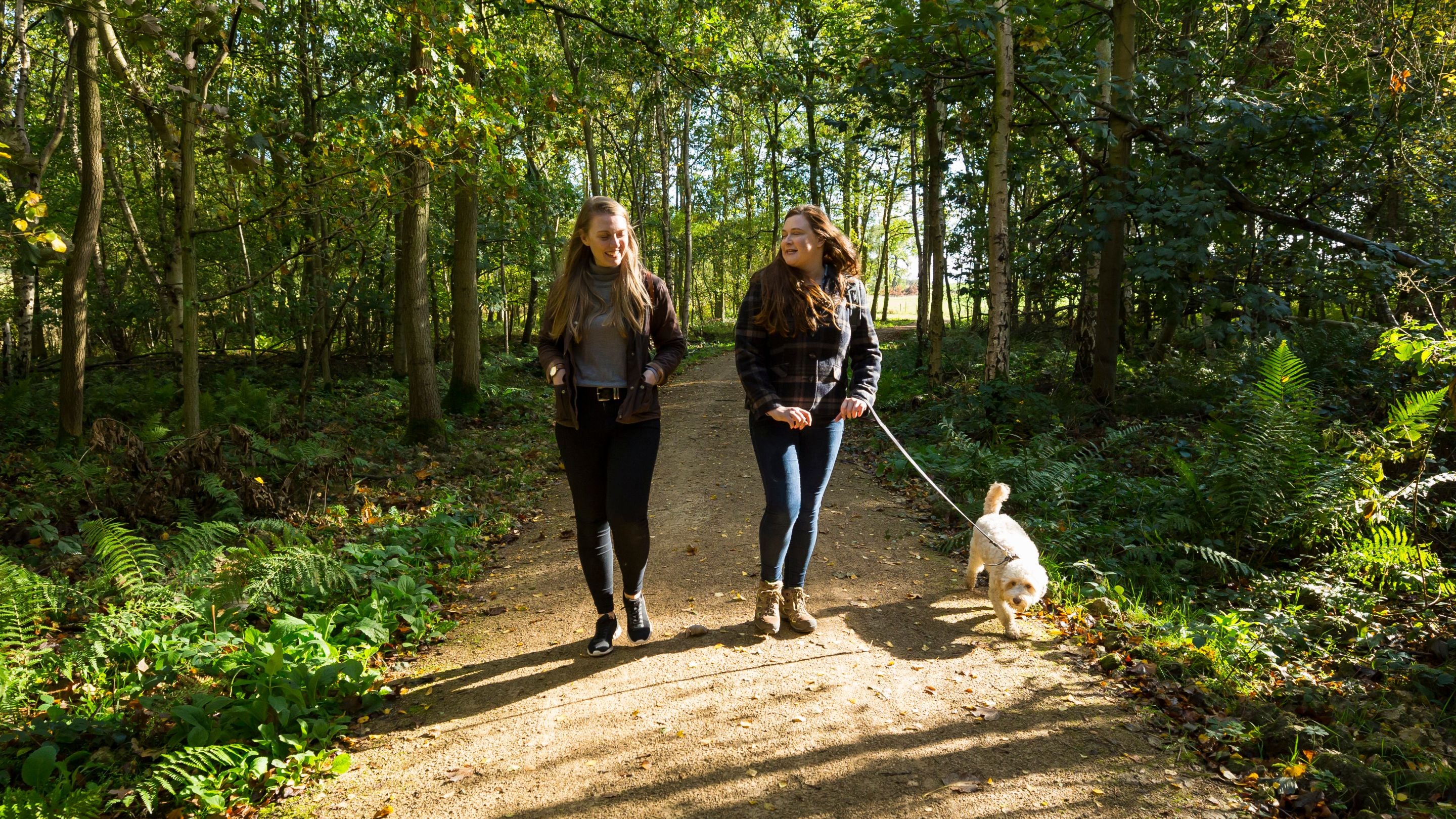 Calke Abbey's history | Derbyshire | National Trust