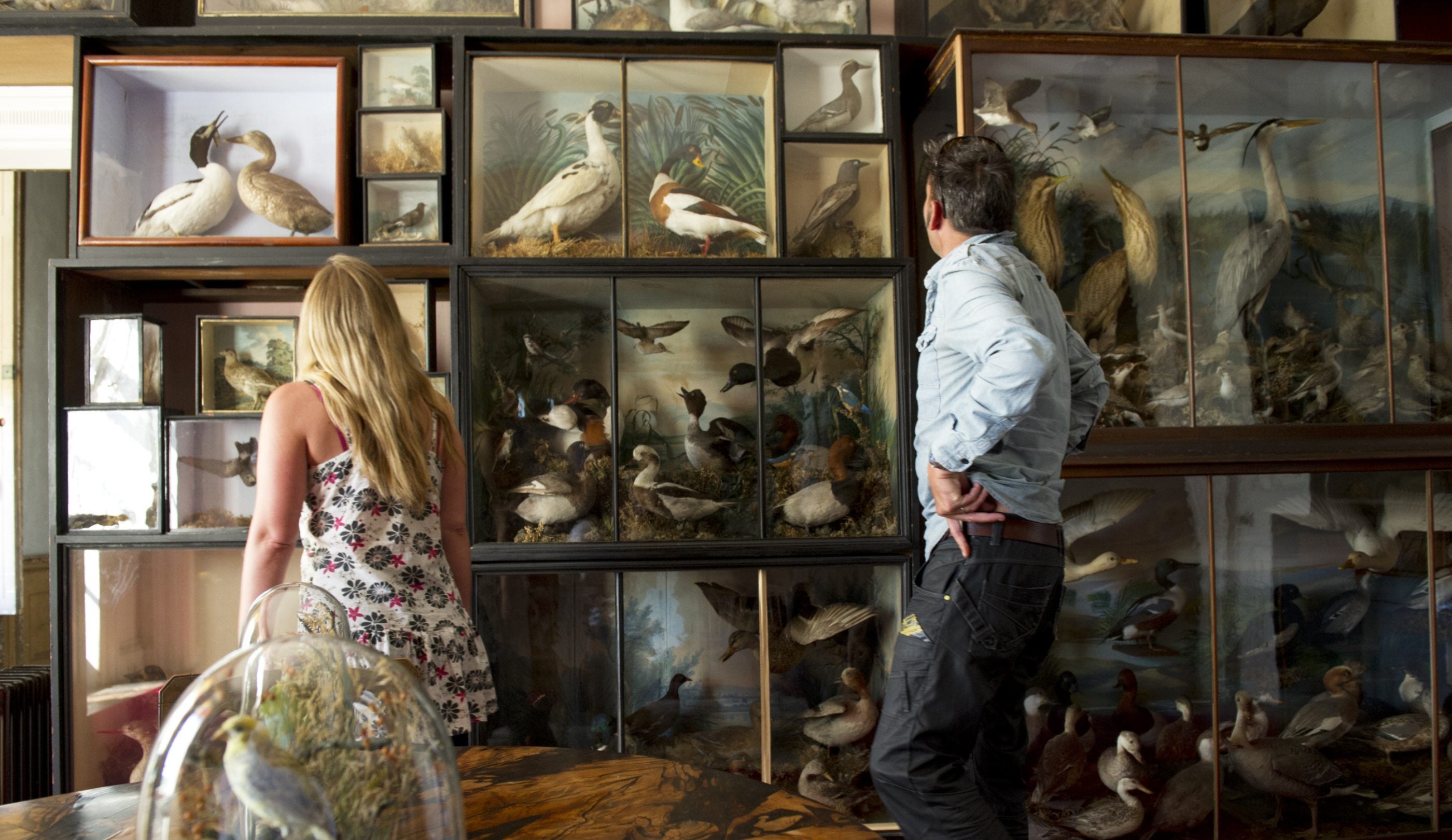 Calke Abbey's history | Derbyshire | National Trust