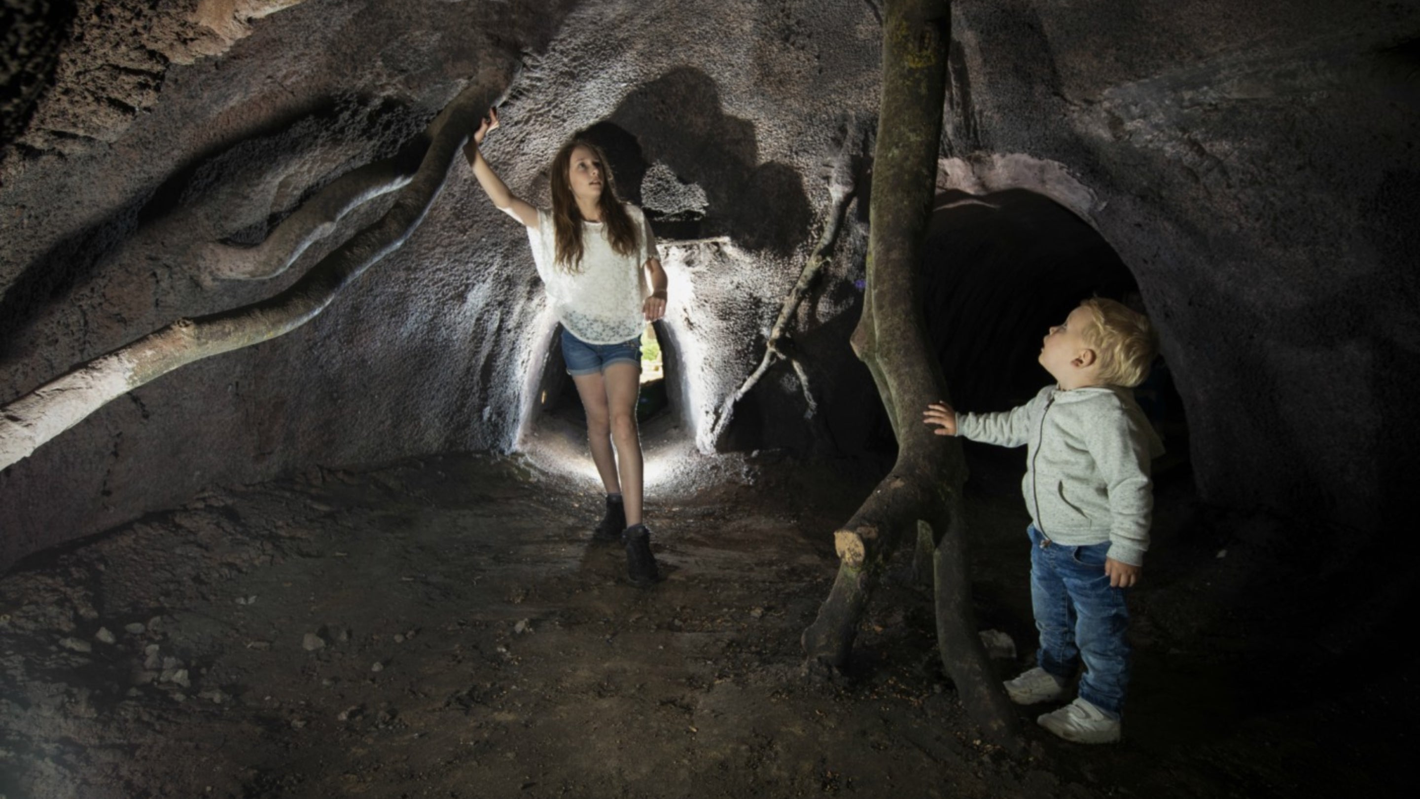 Things to do at Calke Explore | Derbyshire | National Trust