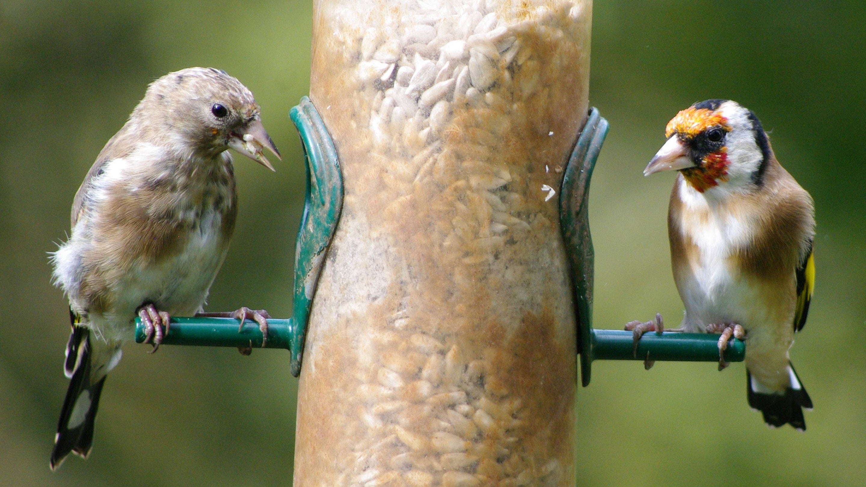 Visiting Calke Abbey's estate | Derbyshire | National Trust