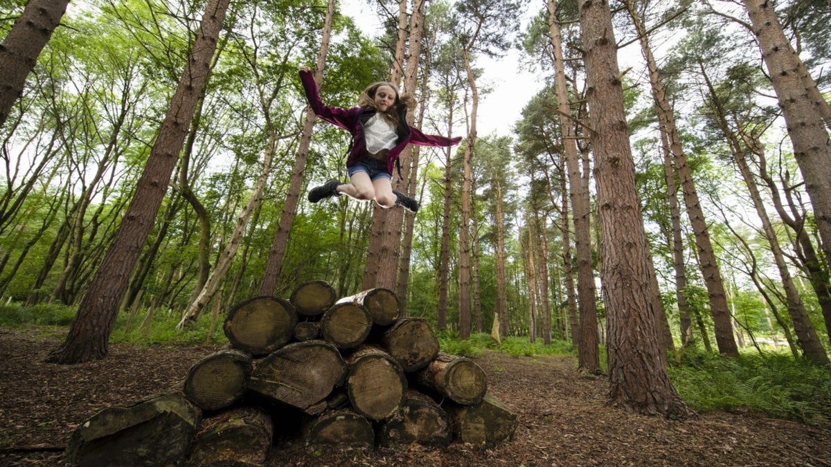 Things to do at Calke Explore | Derbyshire | National Trust