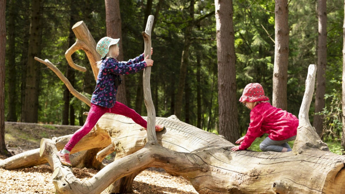 Things to do at Calke Explore | Derbyshire | National Trust