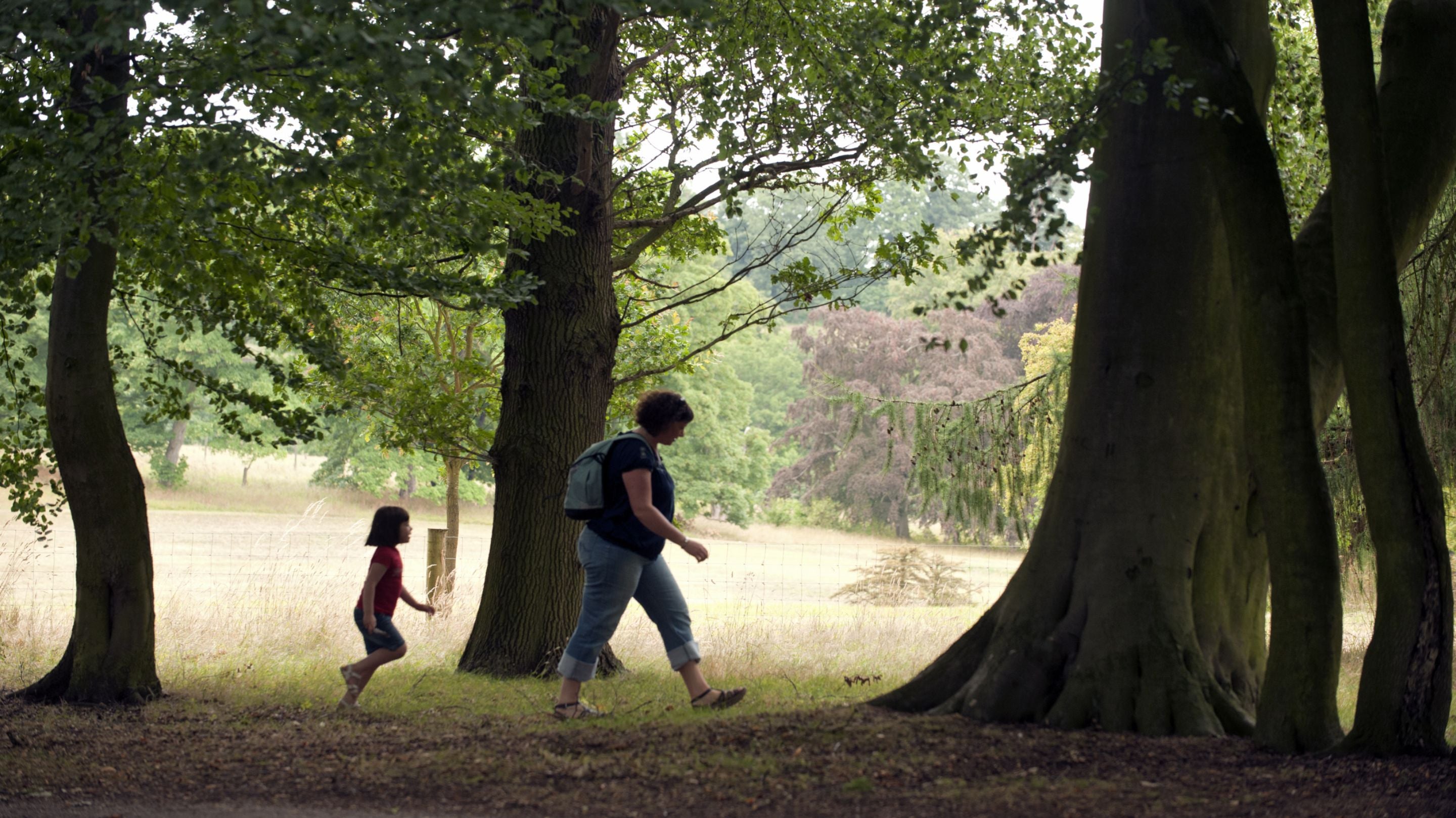 Calke Abbey | Derbyshire | National Trust