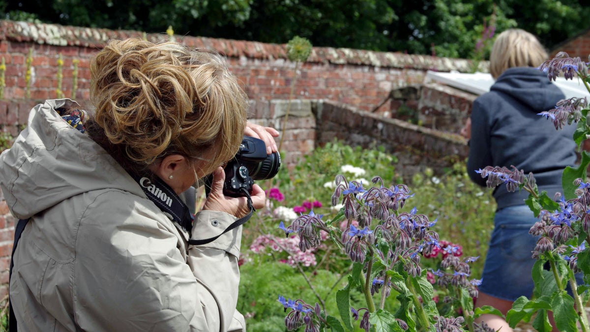 Guided tours at Calke Abbey | Derbyshire | National Trust