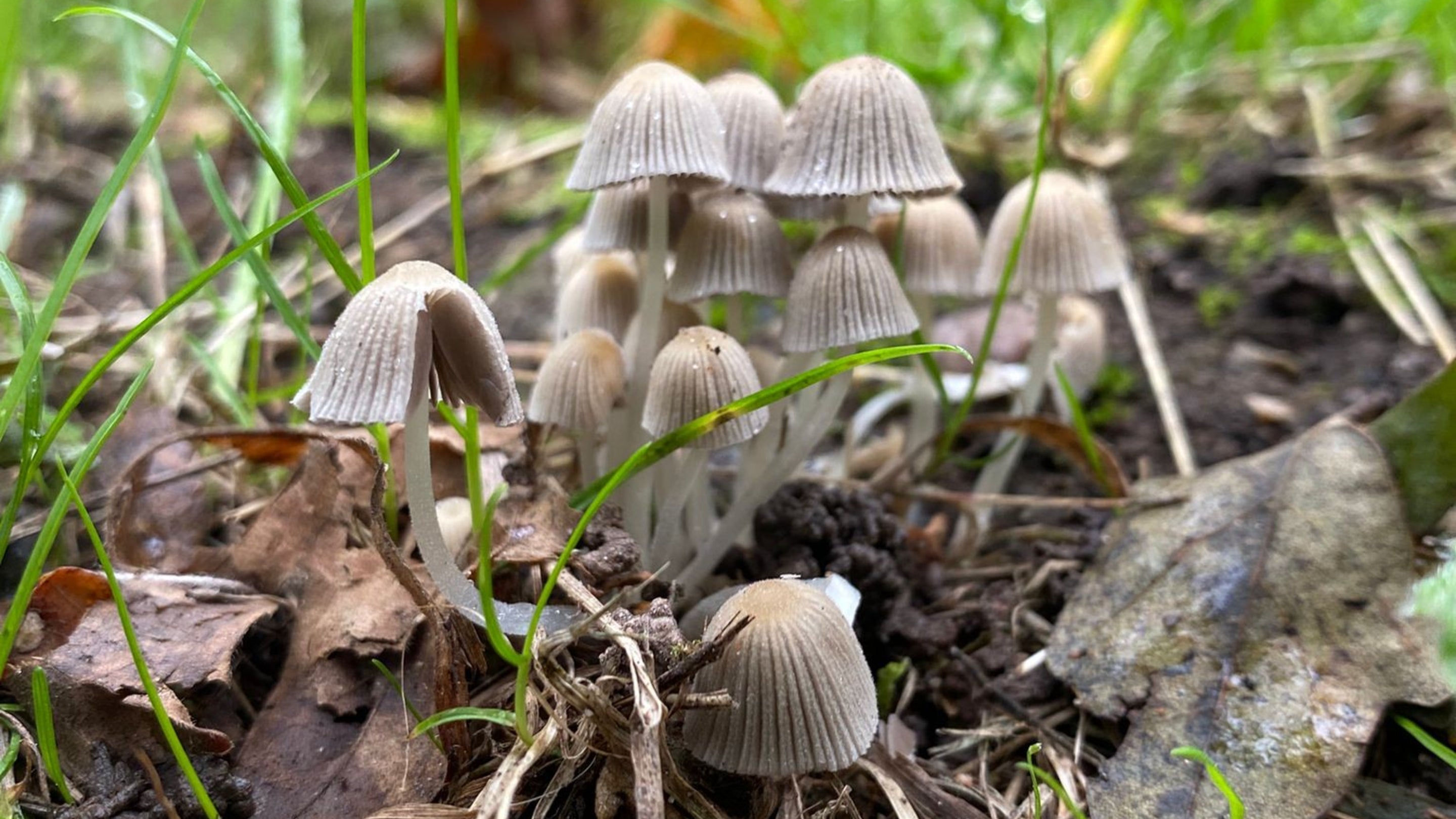 Visiting Foremark I Derbyshire | National Trust