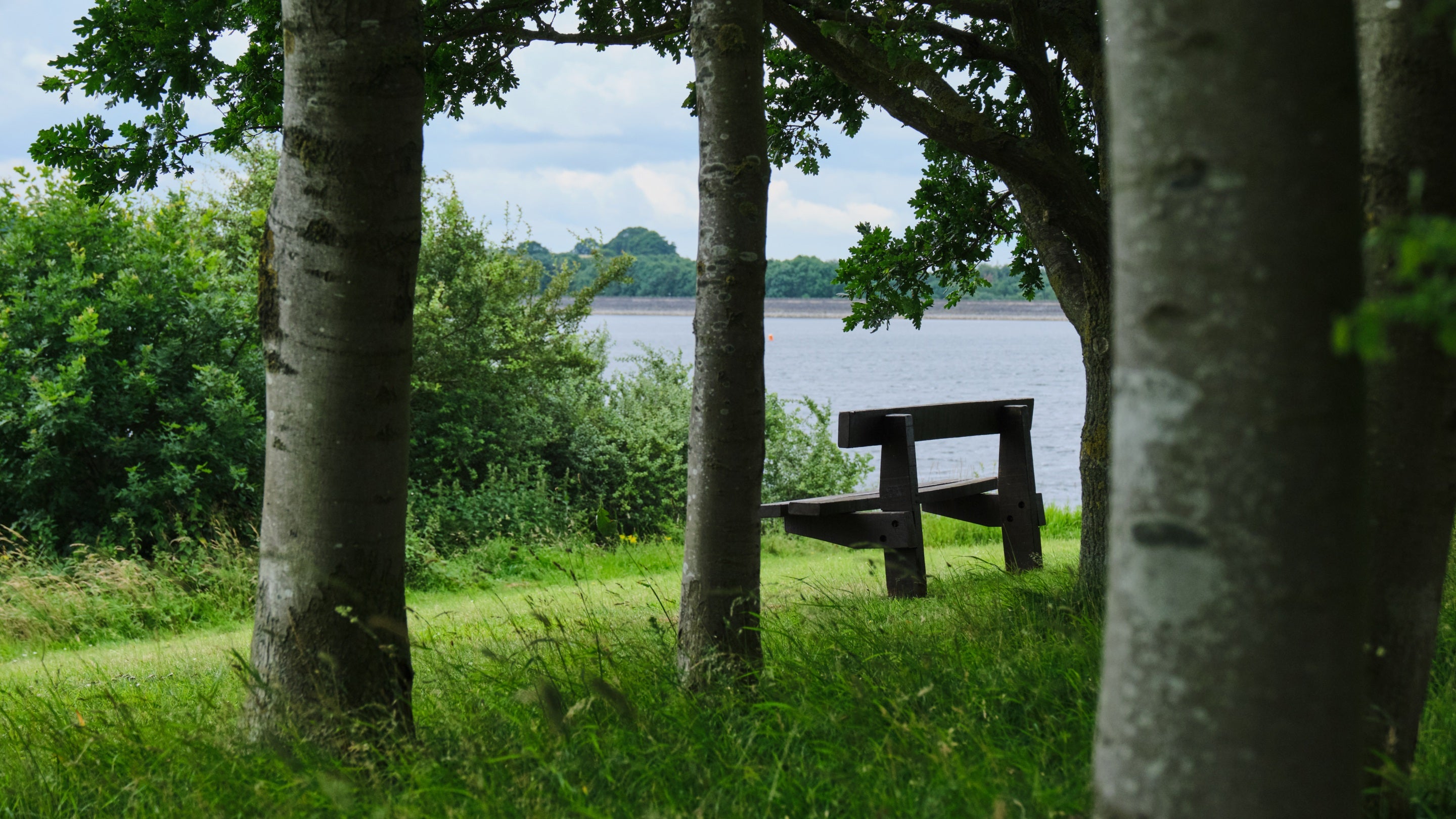 Foremark | Derbyshire | National Trust