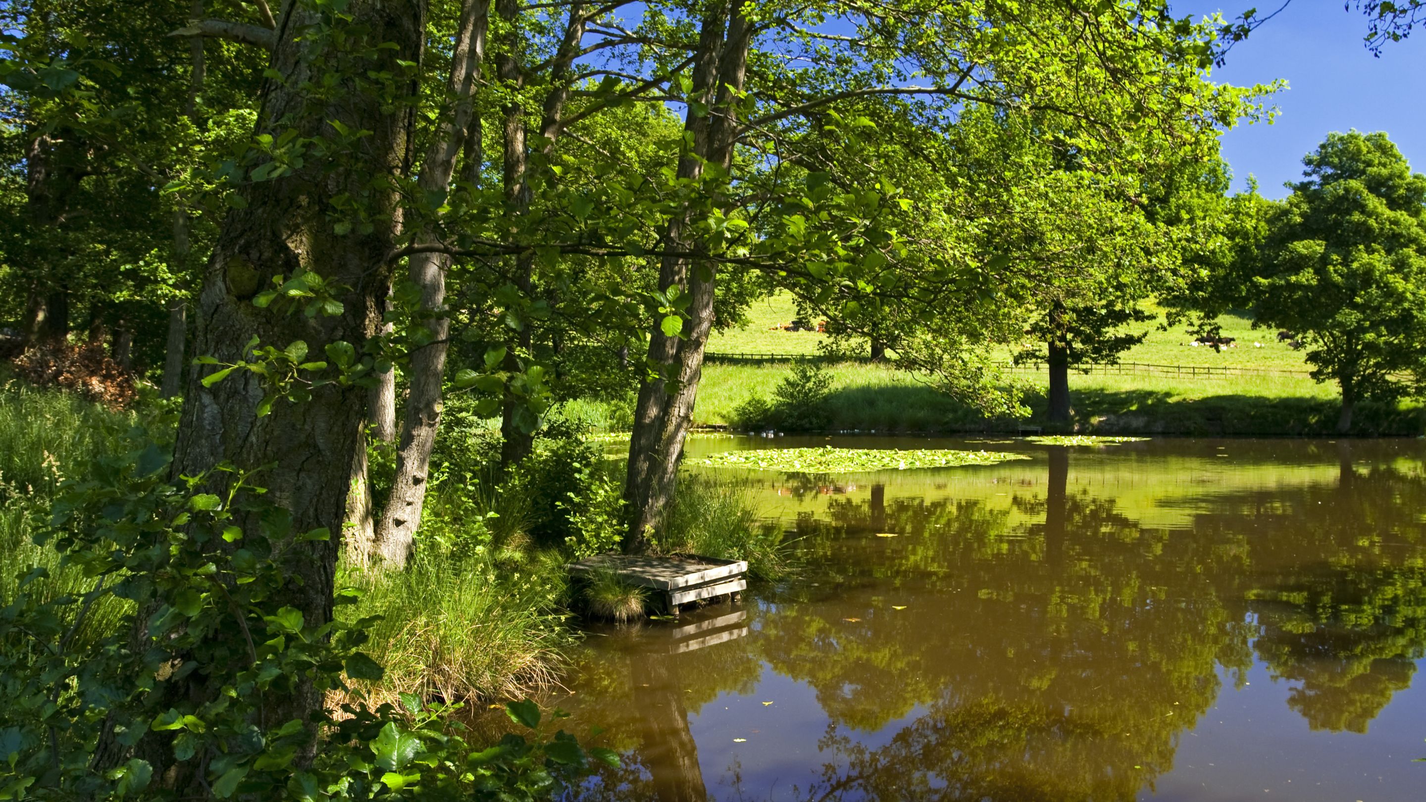 Group walks at Hardwick Hall | National Trust