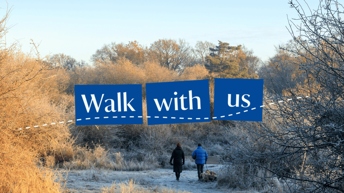 Group walks at Hardwick Hall | National Trust