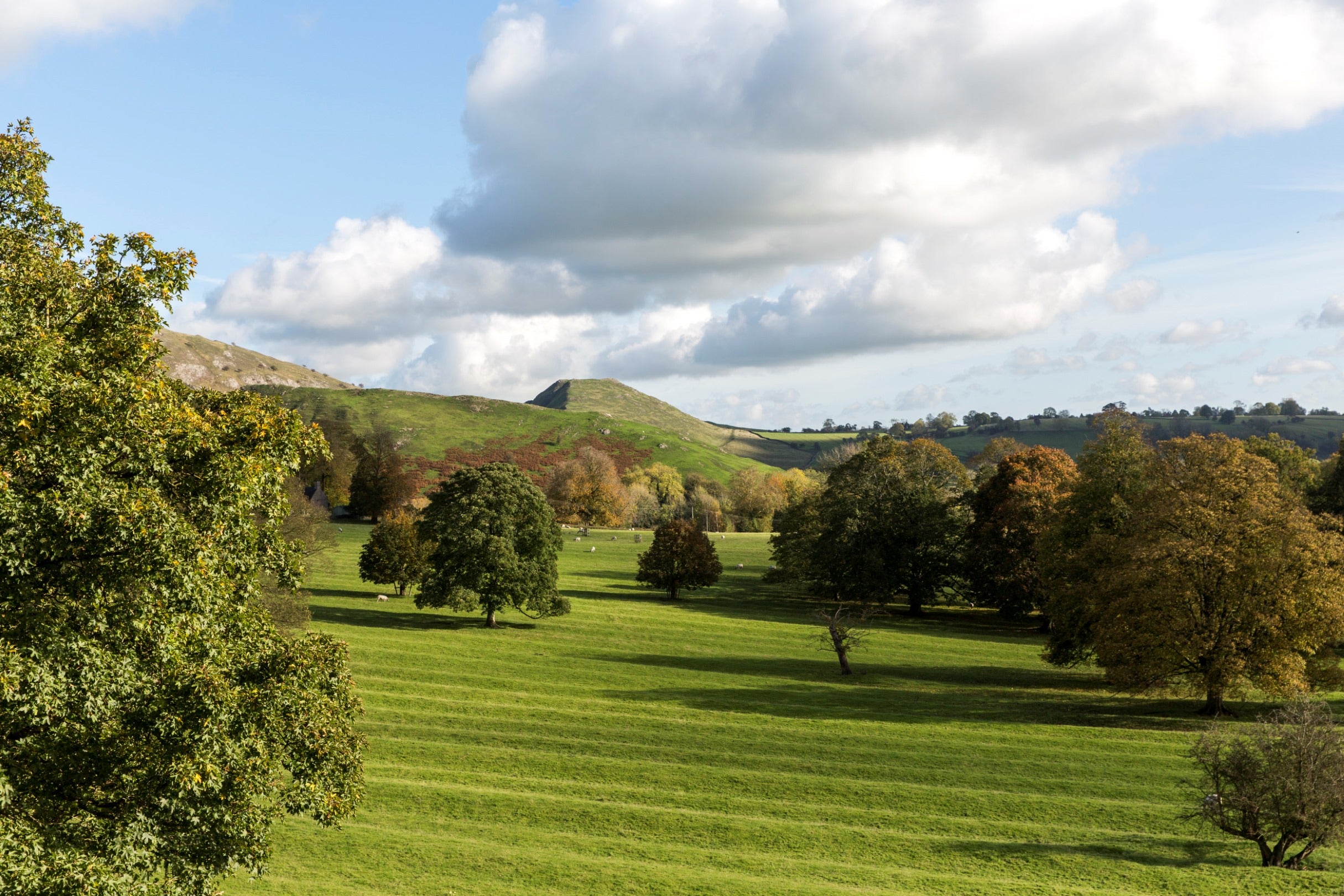 Family days out at Longshaw | Peak District | National Trust
