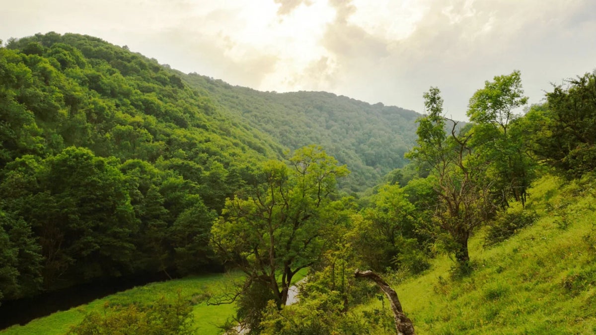 Ilam Park to Dovedale Stepping Stones trail | National Trust