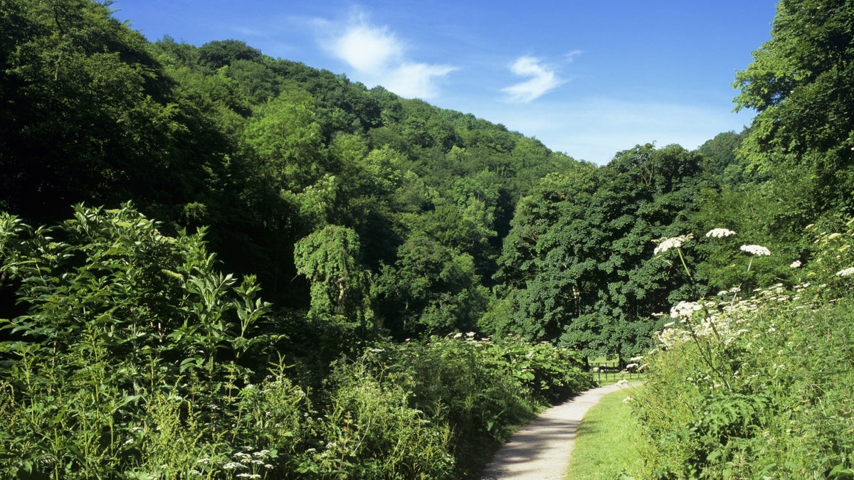 Manifold Valley walk | Peak District | National Trust