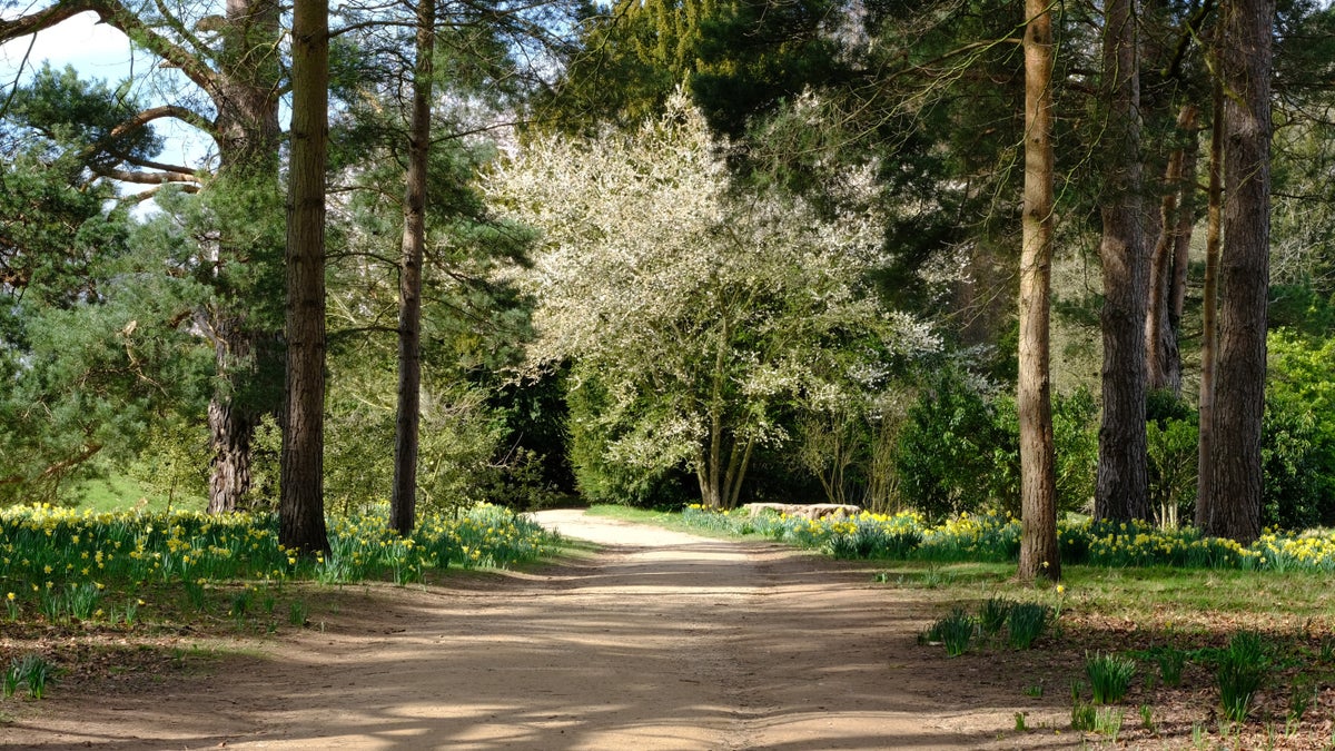 Visiting Kedleston's parkland | Derbyshire | National Trust