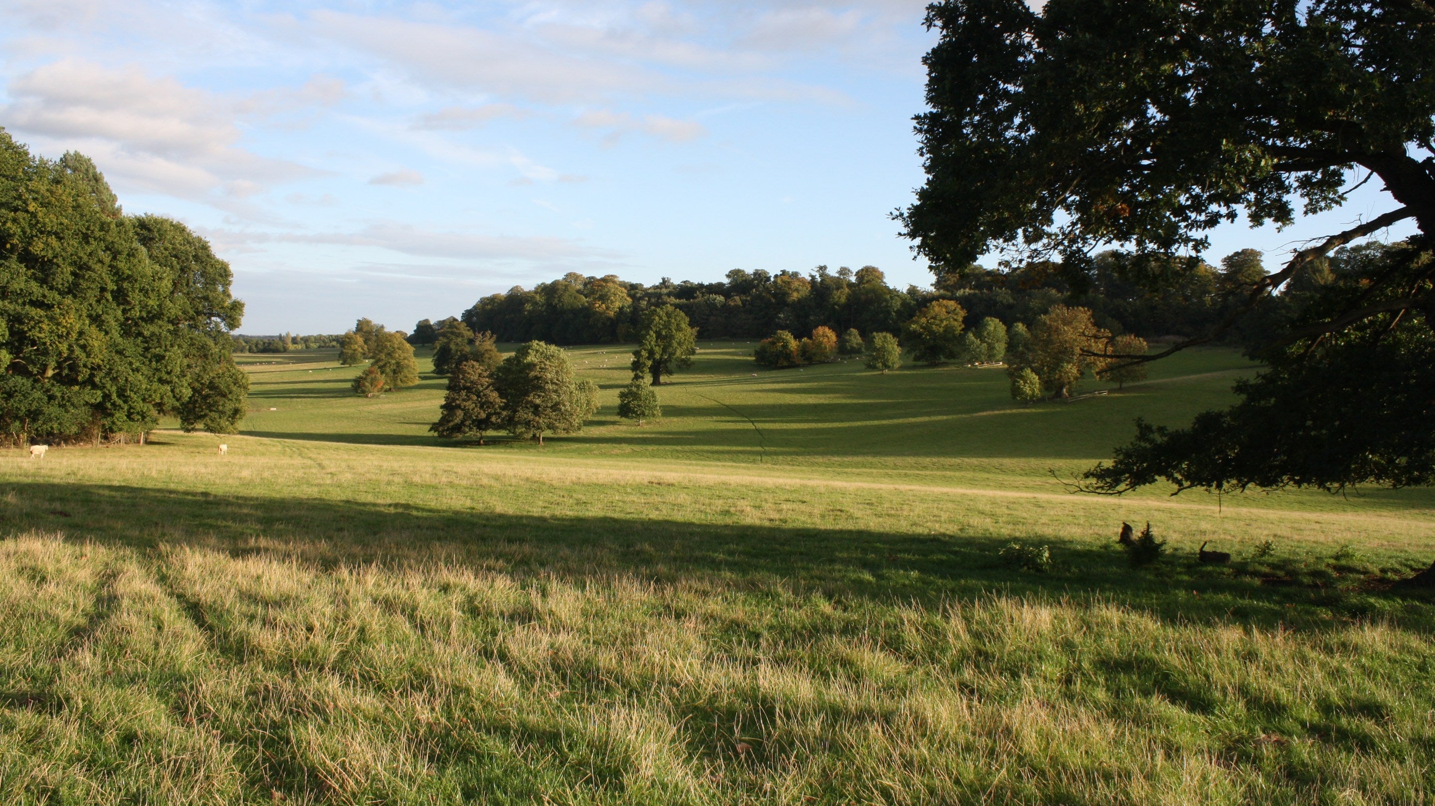 Visiting the park at Kedleston | Derbyshire | National Trust