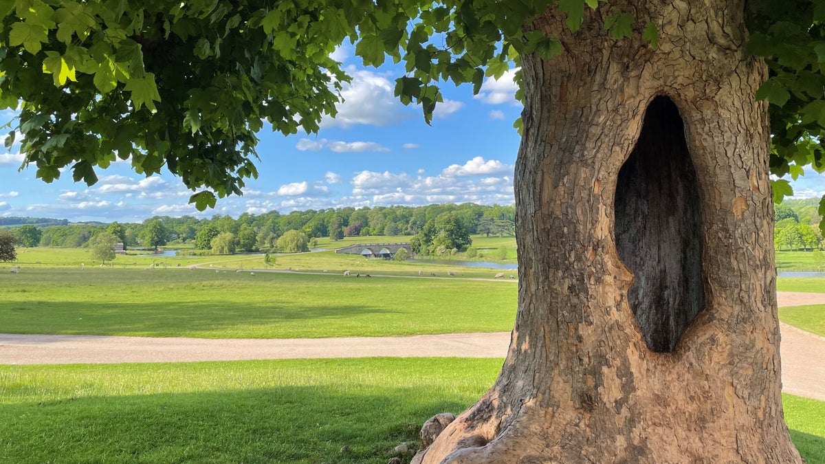 Buses that serve National Trust properties | Page 2 | RailUK Forums