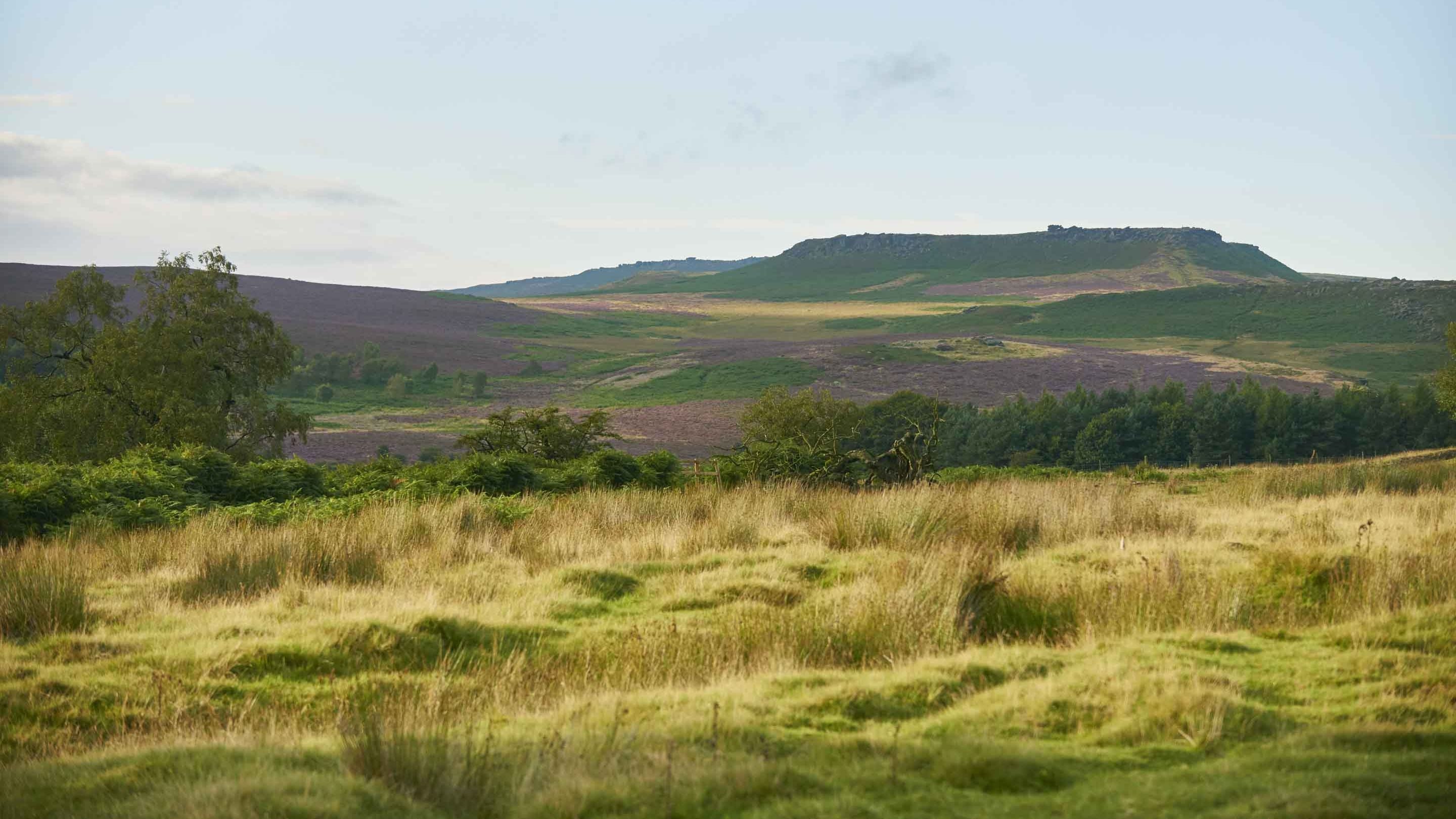 Longshaw, Burbage & the Eastern Moors | National Trust