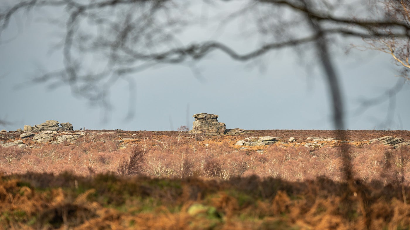 Longshaw, Burbage & the Eastern Moors | National Trust
