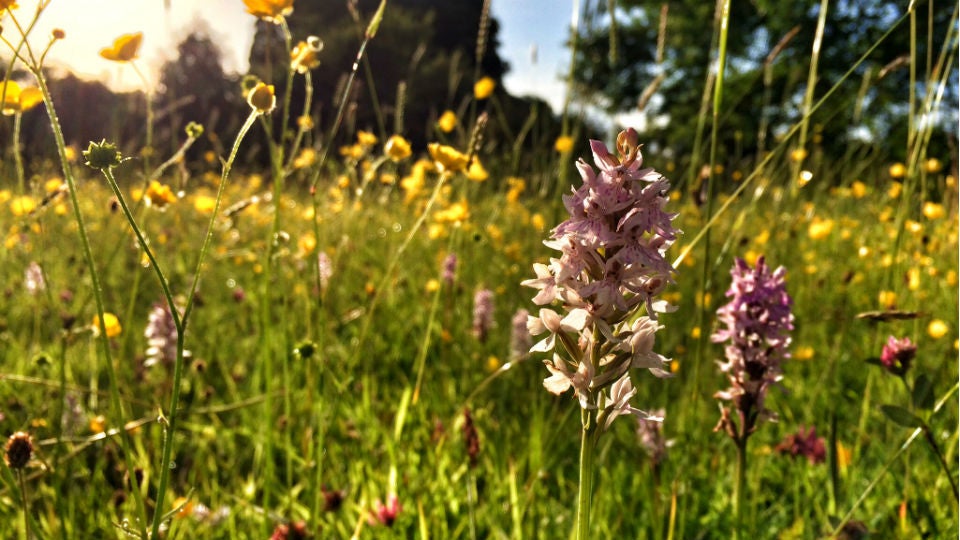 Benthall Hall | Shropshire | National Trust