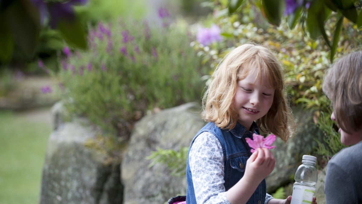 Days out with kids | Biddulph Grange | National Trust