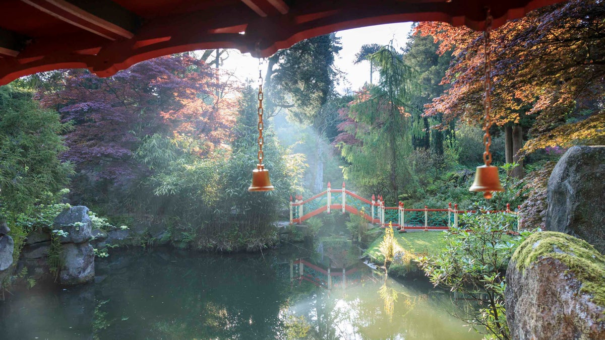 Visiting Biddulph Grange Garden | Staffs | National Trust