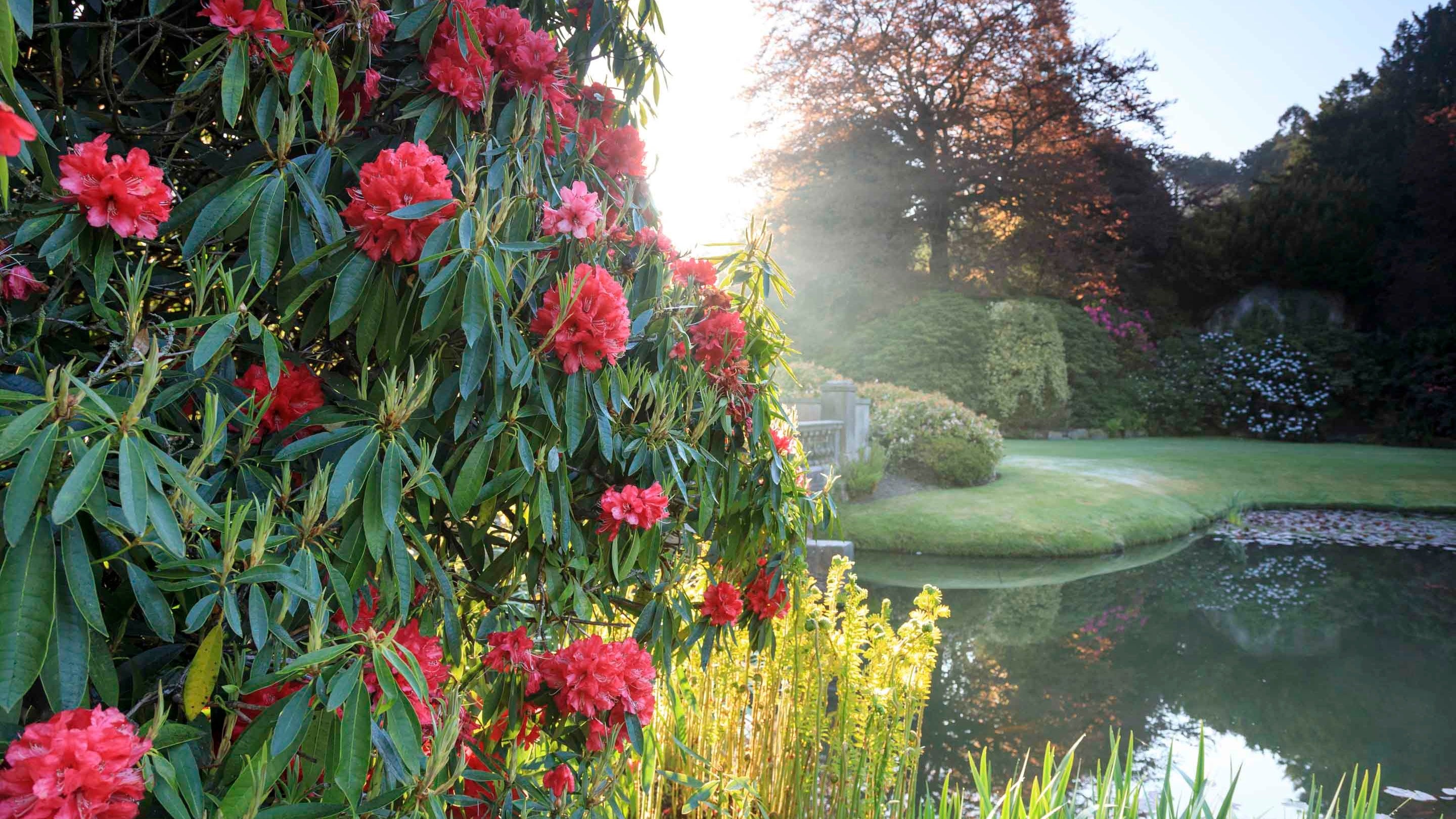 Biddulph Grange Garden | Staffordshire | National Trust