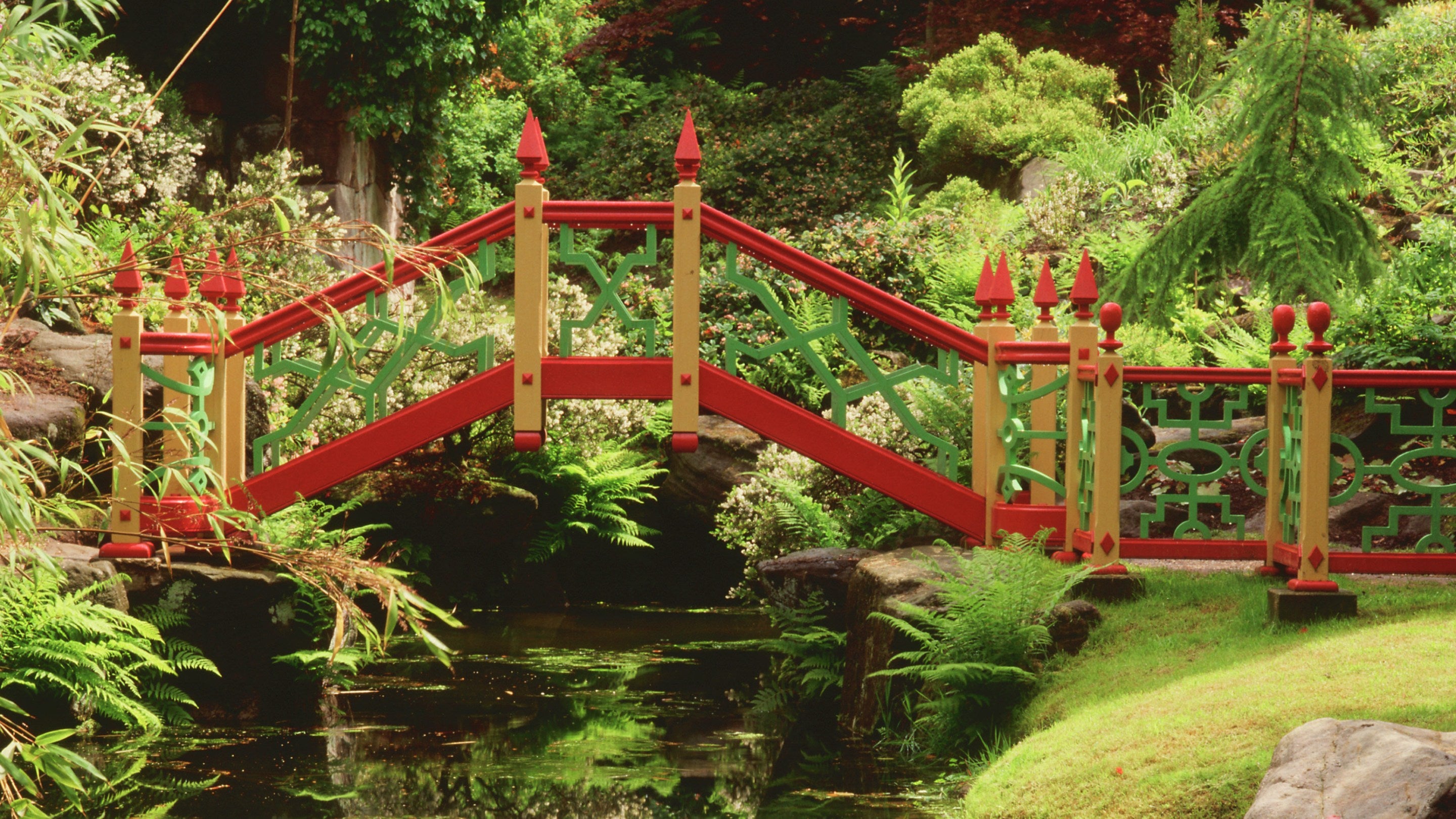 Our work at Biddulph Grange Garden | National Trust