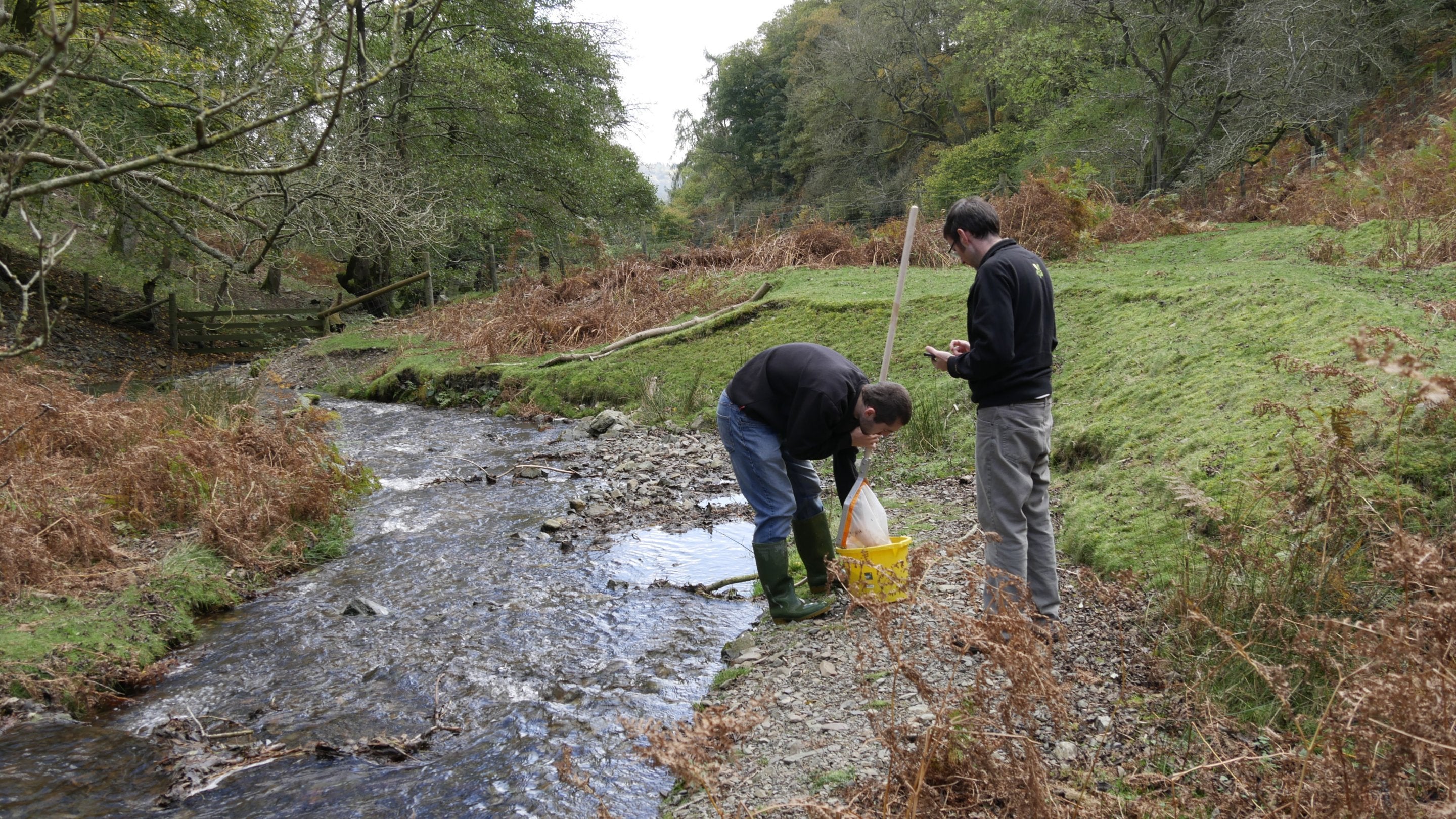 Conservation at Carding Mill Valley | National Trust
