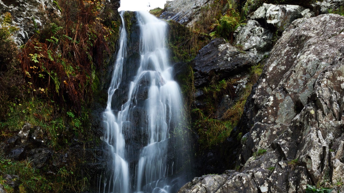 Lightspout Waterfall walk | Shropshire | National Trust