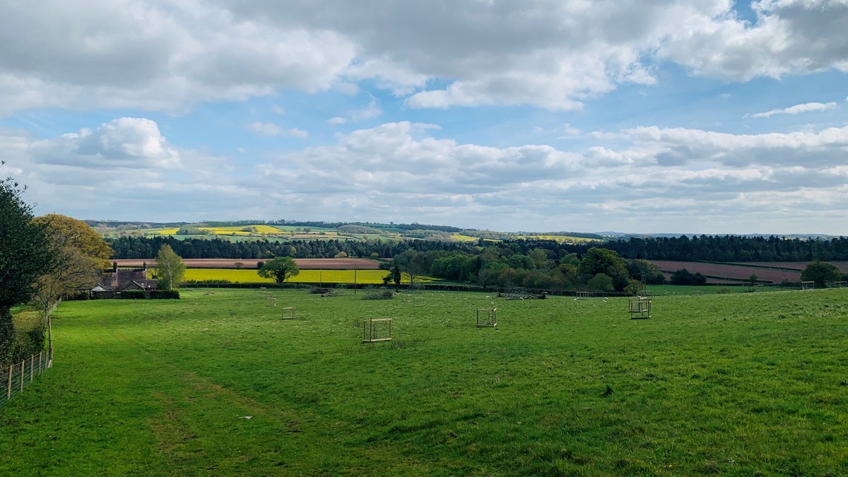 Morfe Walk Comer Woods | Shropshire | National Trust