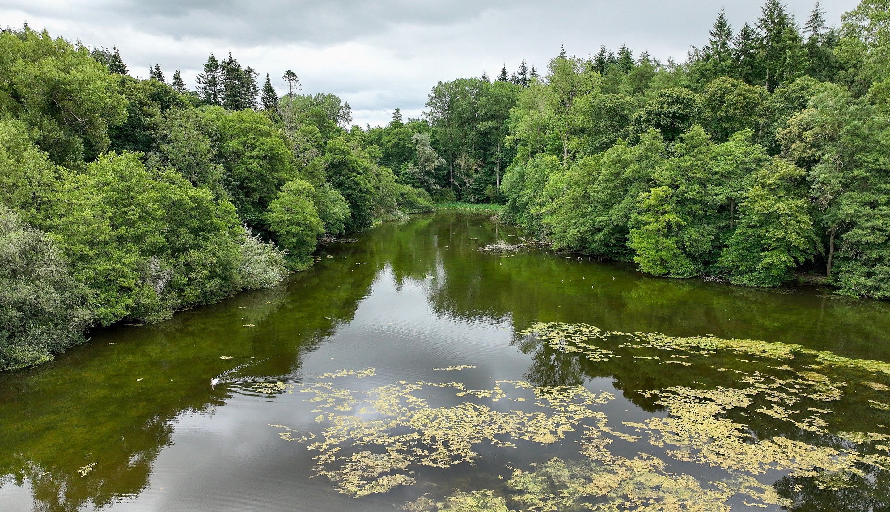 Dudmaston Estate Comer Woods | National Trust