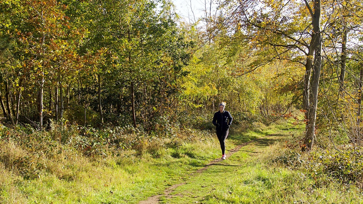 Three Pools Walk, Comer Woods | Shropshire | National Trust