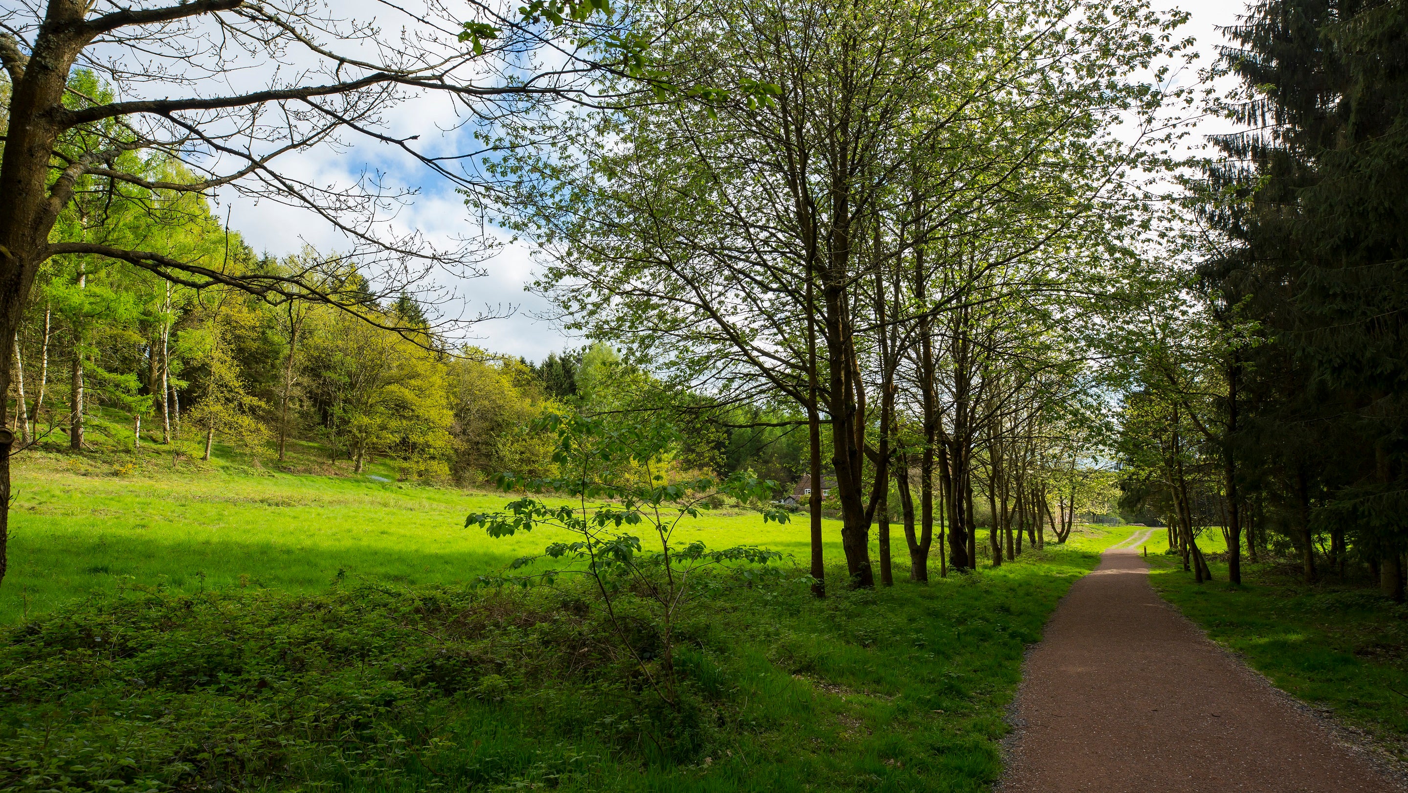 Visiting Dudmaston's estate | Shropshire | National Trust
