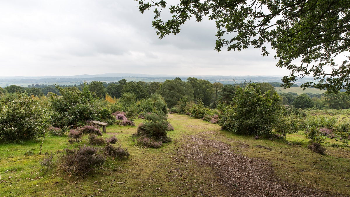 Sandscapes at Dudmaston and Kinver Edge | National Trust