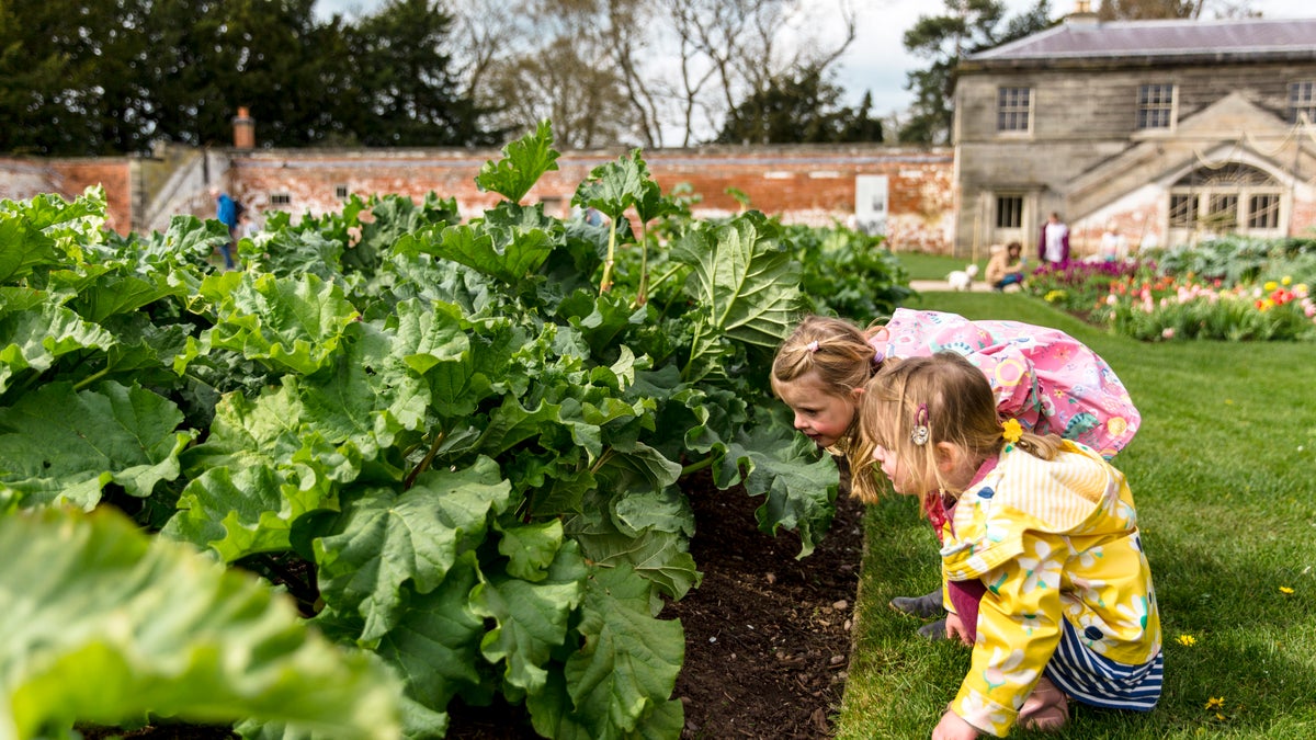 Days out with kids | Shugborough Estate | National Trust