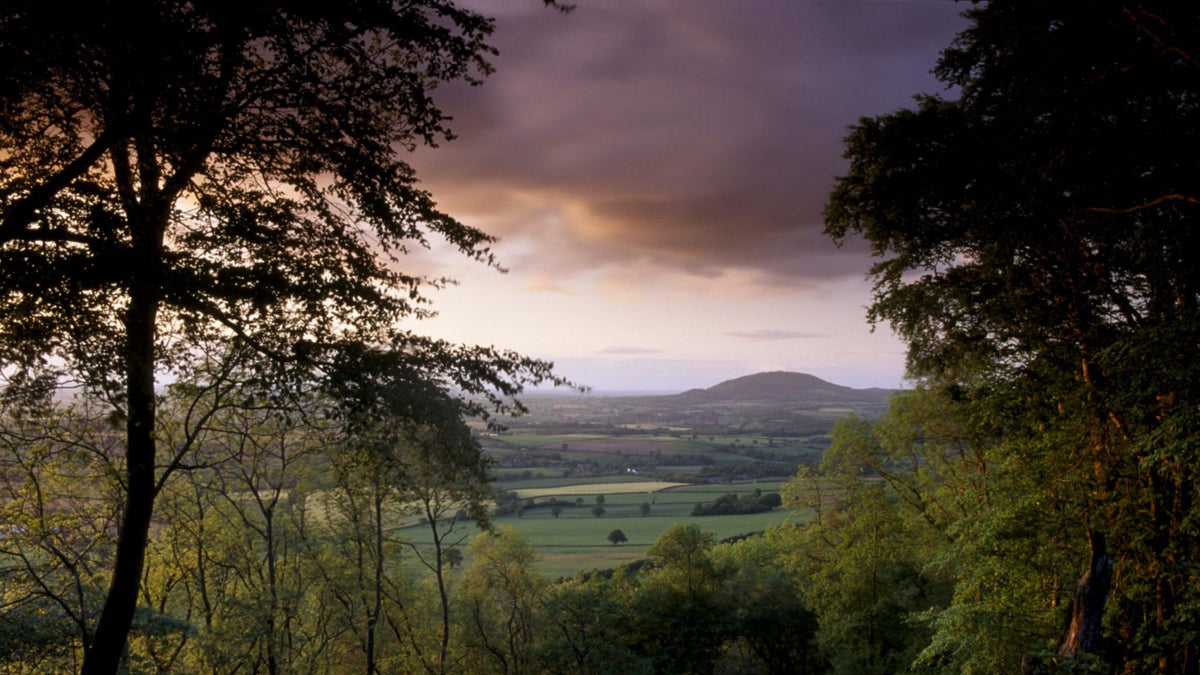 Wenlock Edge | Shropshire | National Trust