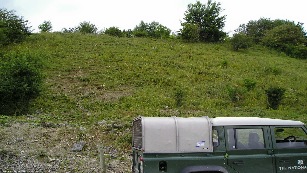 Lea Quarry walk, Wenlock Edge | Shropshire | National Trust