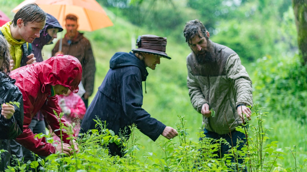 Our policy on foraging for wild food | National Trust