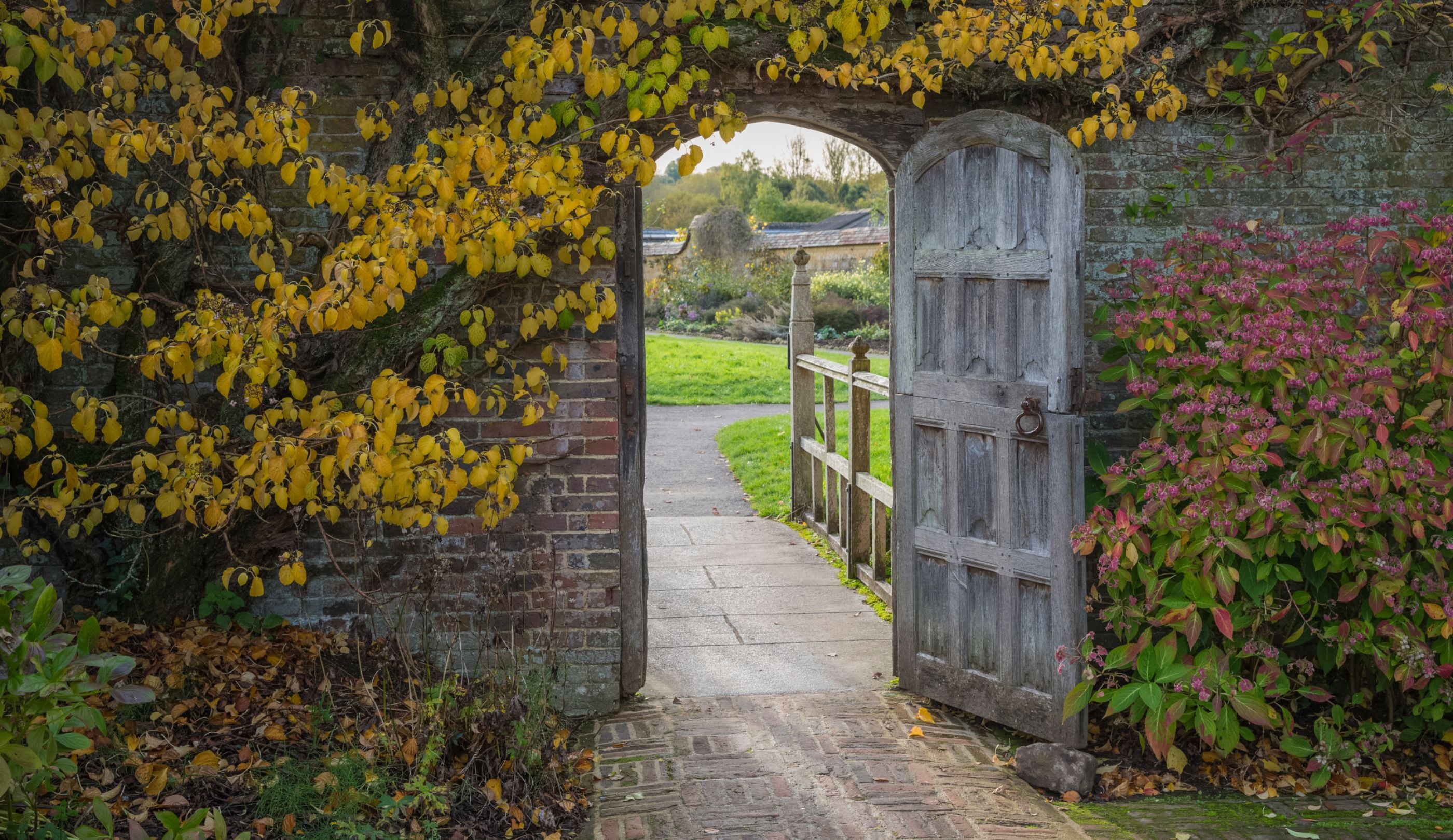 Visit Barrington Court's estate | Somerset | National Trust