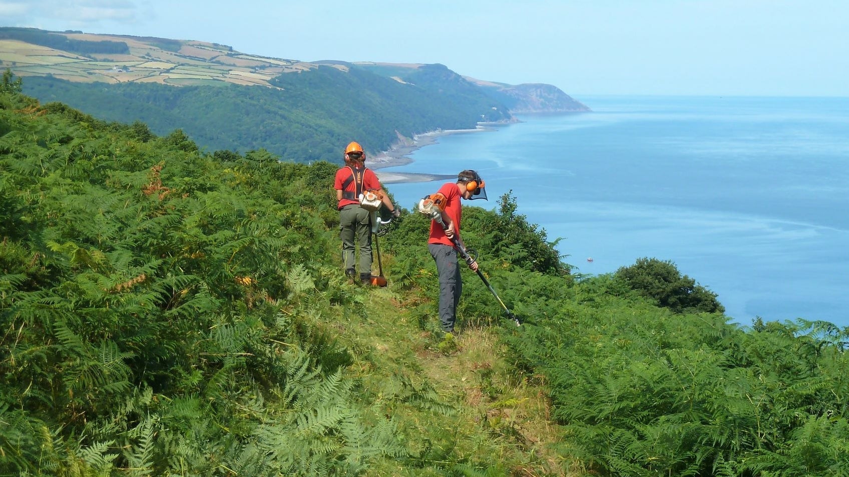 Exmoor Coast | Somerset | Conservation | National Trust