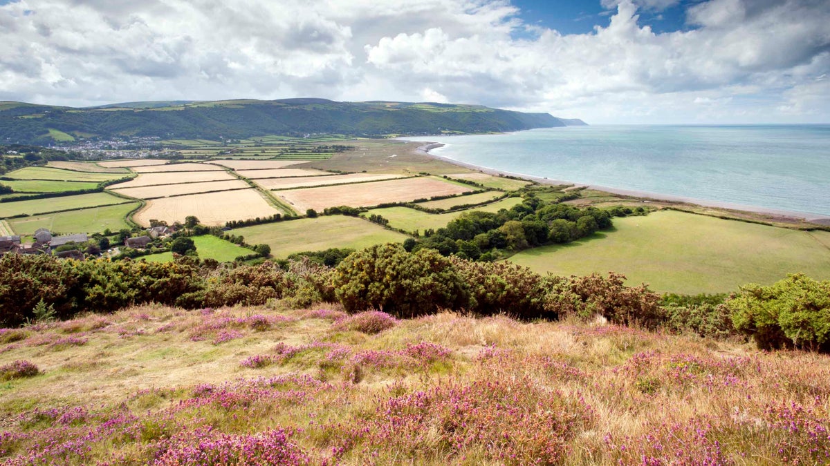 Porlock Vale Riverlands project | Somerset | National Trust