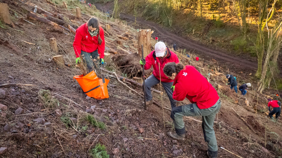 Our partners | National Trust