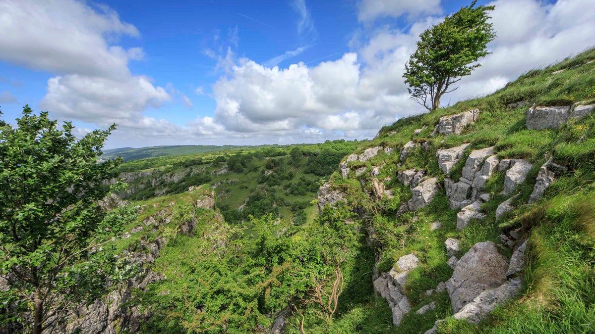 Our work at Cheddar Gorge | Somerset | National Trust