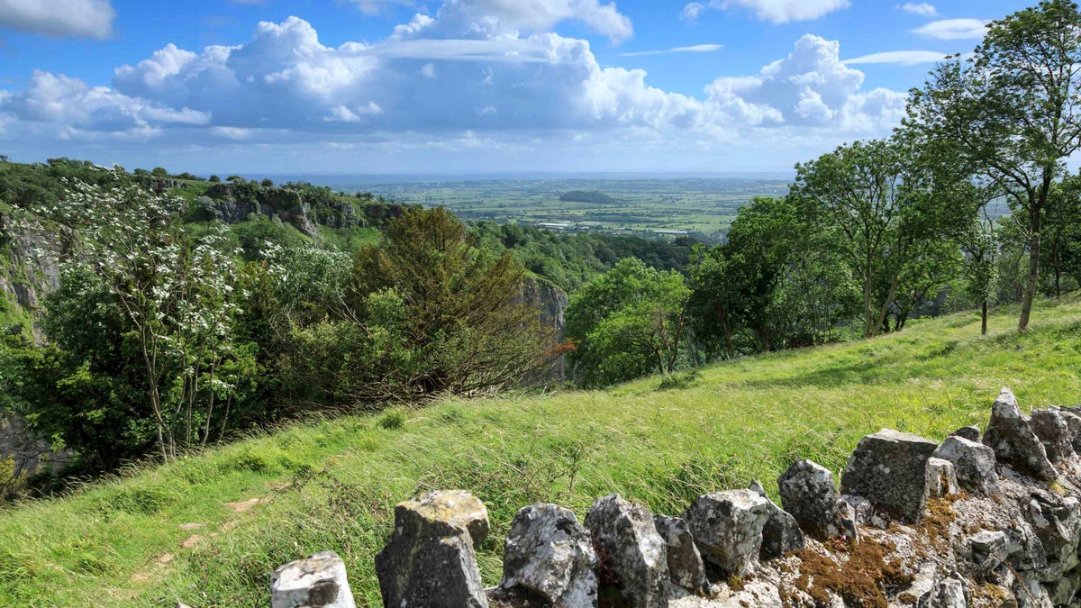 Our work in the Mendip Hills | Somerset | National Trust