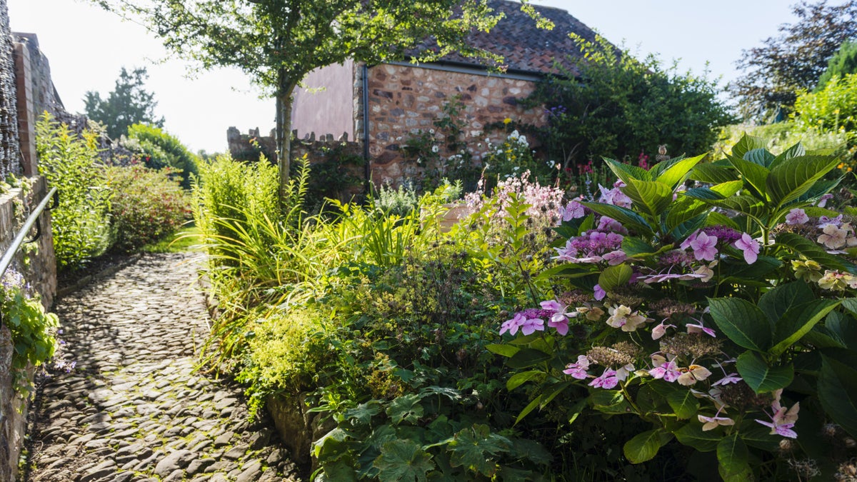 Visit Coleridge Cottage garden | Somerset | National Trust