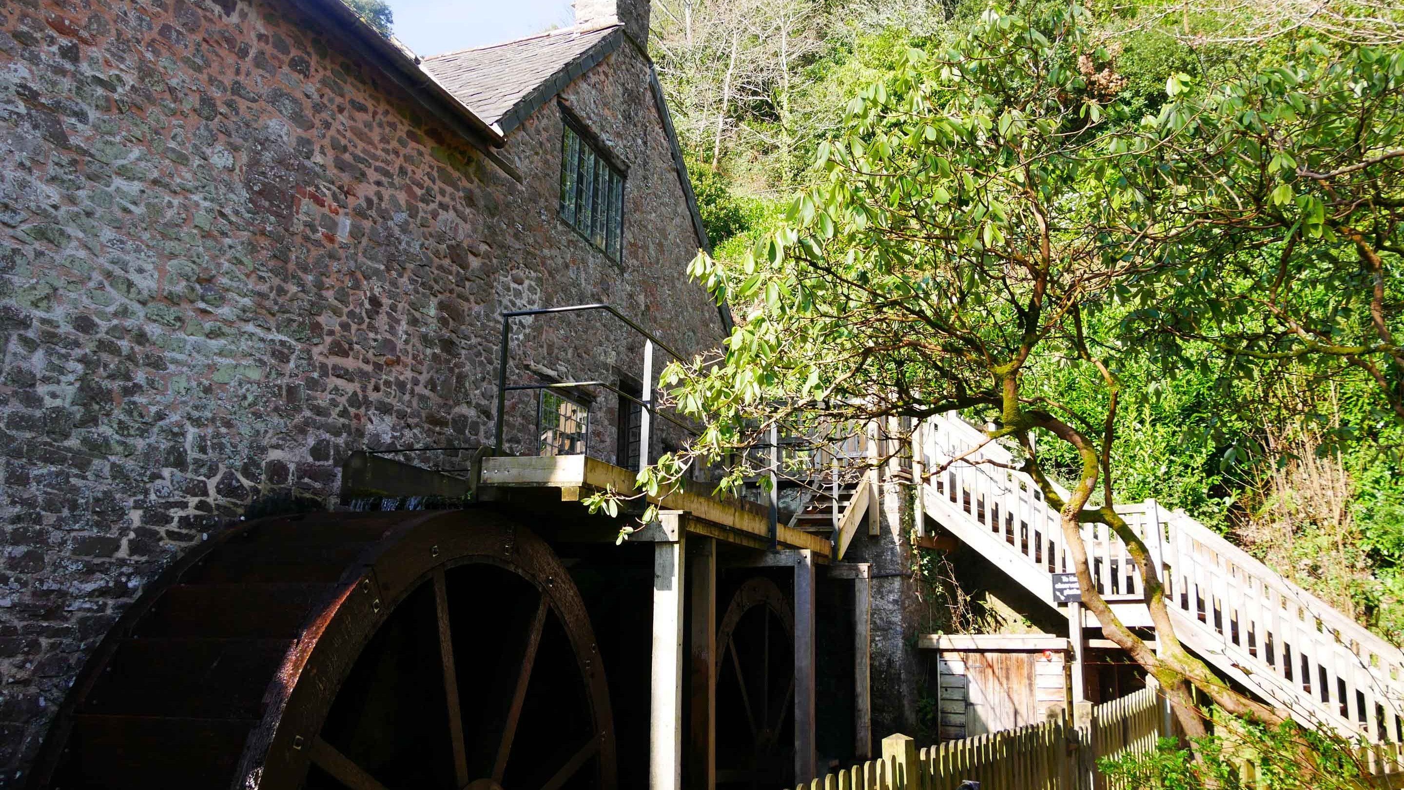 History of Dunster Castle's watermill | National Trust