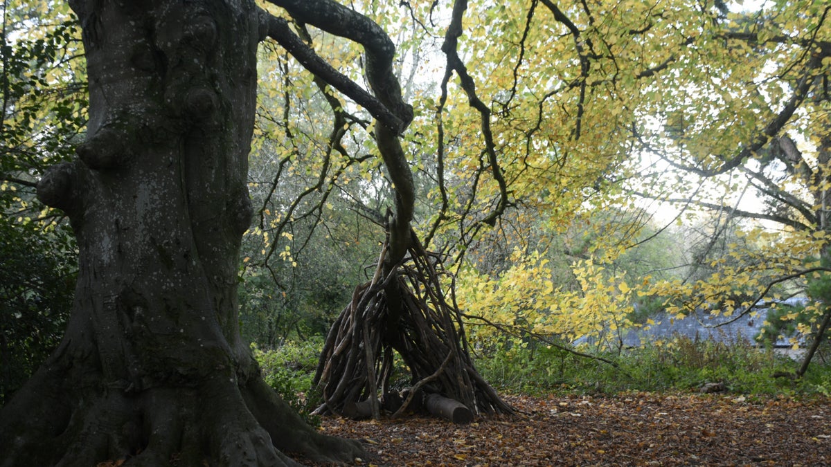 Build a den │ 50 things to do | National Trust