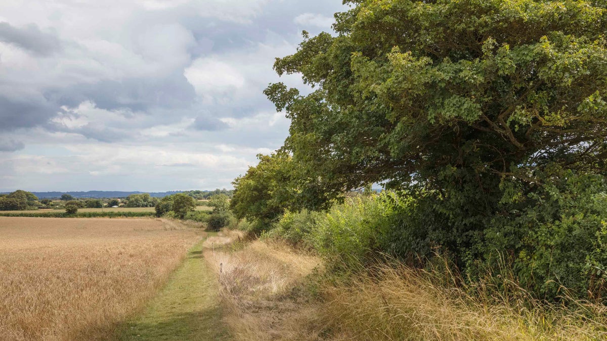 Visit Lytes Cary Manor's estate | Somerset | National Trust