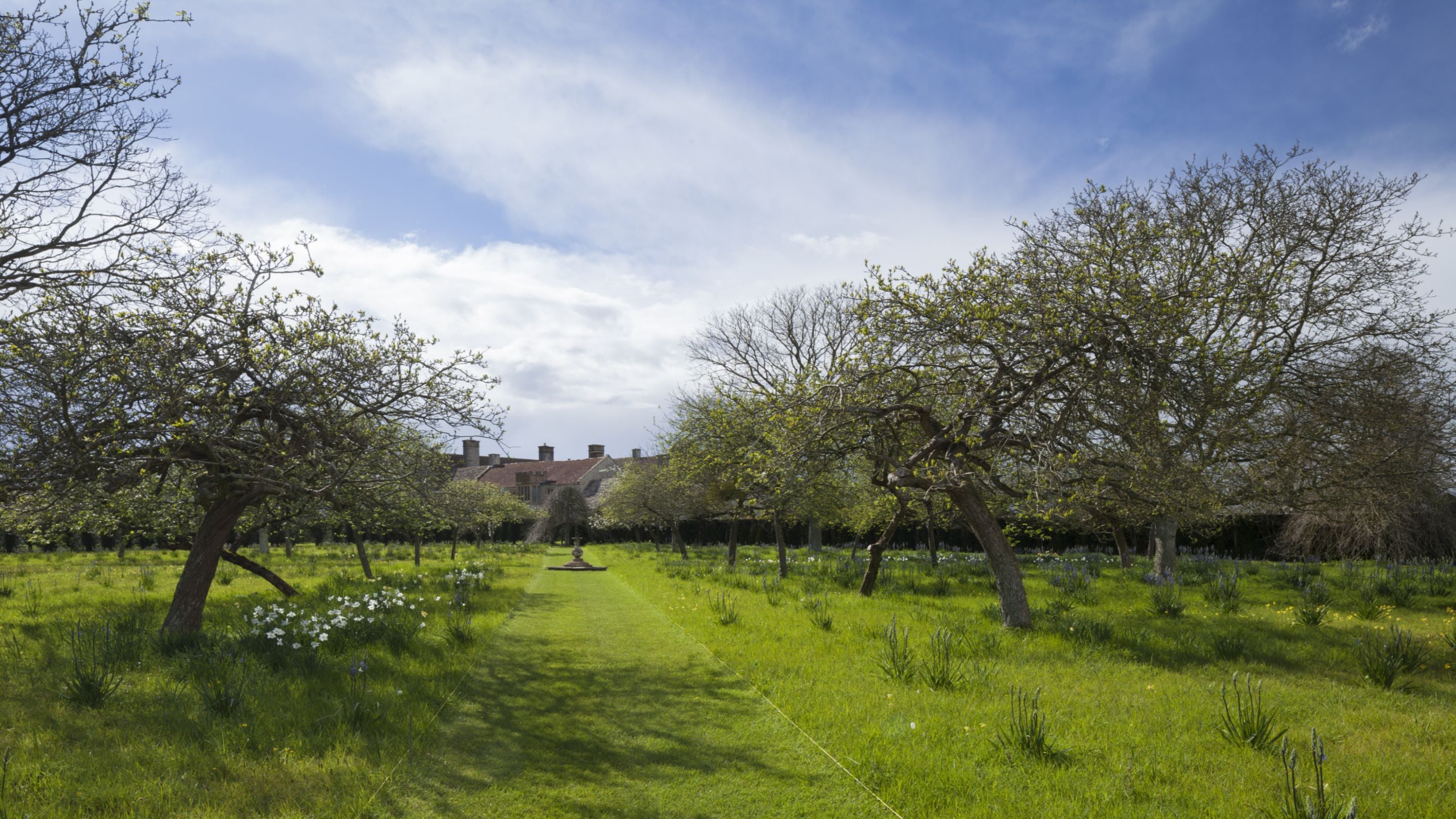Days out with kids: Lytes Cary Manor | National Trust